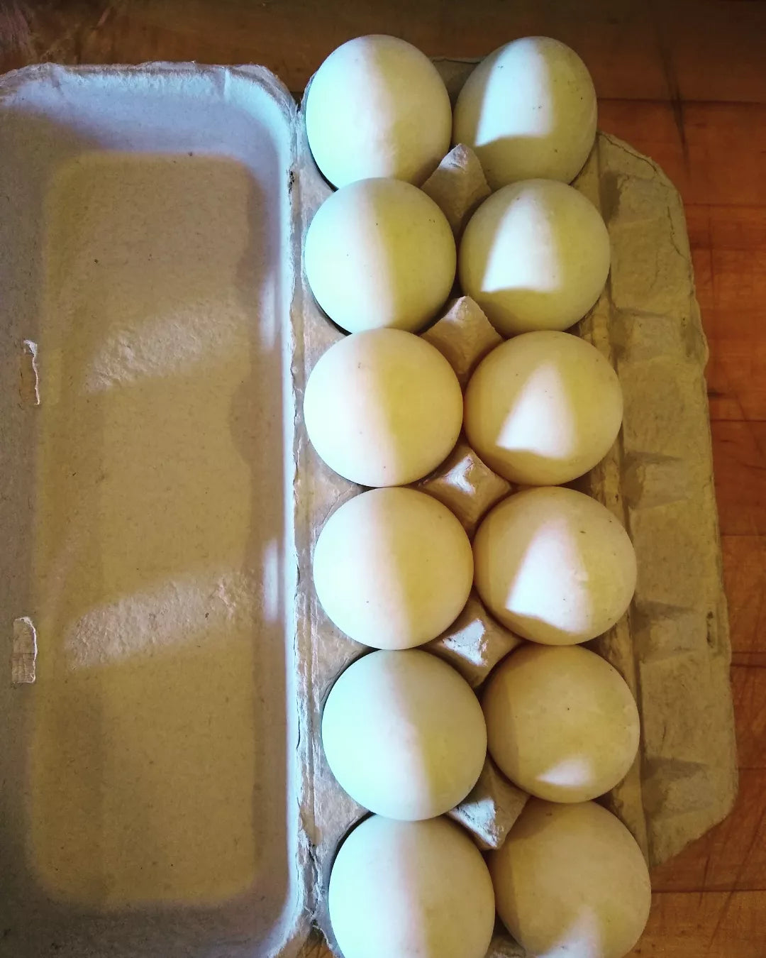 Dozen Duck Eggs- Local Pick Up/Delivery Only – Flower Street Farm